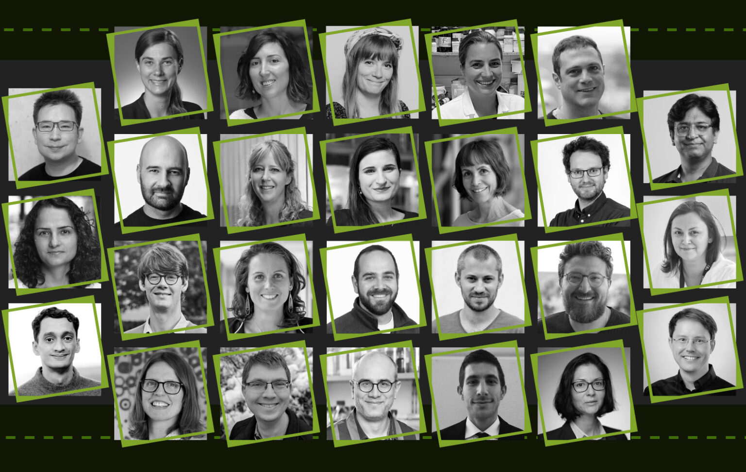 EMBO announces new Young Investigators – Press releases – EMBO