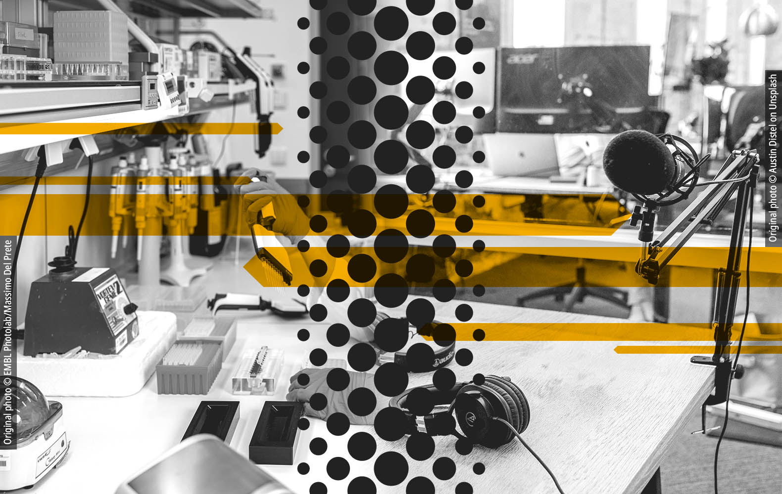 Maria Leptin | EMBO Science Journalism Fellowships – Application – EMBO