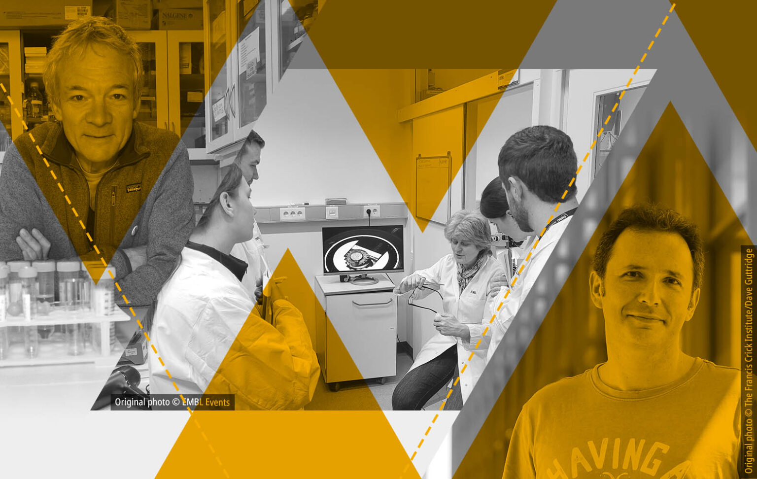 Conferences & training – Courses & Workshops – EMBO