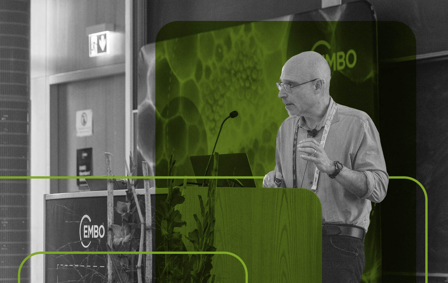 The EMBO communities – EMBO Members – EMBO